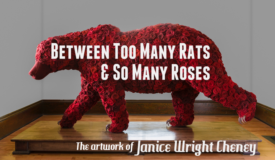 Proximity Between Too Many Rats and So Many Roses - Proximity